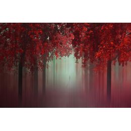 papermoon Fototapete "Photo-Art ILDIKO NEER, AUS DER LIEBE WALD IN ROT", B/L: 3,5m x 2,6m, Bahnen: 7 Stk., rot, Schlafzimmer, Tapeten