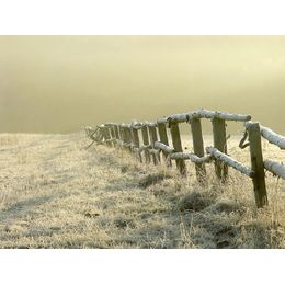 papermoon Fototapete "Zaun im nebligen Feld", B/L: 4,5mm x 2,8mm, Bahnen: 9 Stk. St., bunt, Wohnzimmer, Tapeten