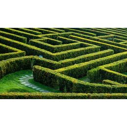papermoon Fototapete "Labyrinthgarten", B/L: 5m x 2,8m, Bahnen: 10 Stk., bunt, Schlafzimmer, Tapeten
