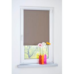 Seitenzugrollo Liedeco, B:120cm H:150cm, grau, Polyester, Rollos