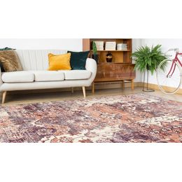Teppich Calo-deluxe, B:120cm H:10mm L:170cm, bunt, Baumwolle, Wohnzimmer, Teppiche, "Emin 900", reine Baumwolle, Wohnzimmer