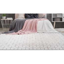 Teppich me gusta, B:160cm H:20mm L:230cm, rosa, Kunstfaser, Wohnzimmer, Teppiche, "Vivica 100", besonders weich durch Microfaser, Wohnzimmer