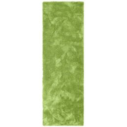 Teppich Bruno Banani, B:80cm H:30mm L:500cm, gr&uuml;n, Kunstfaser, Wohnzimmer, Teppiche, "Dana Teppich, besonders weich und kuschelig, Kundenliebling",