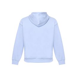 DROPSIZE Herren Kapuzensweatshirt "Dropsize HEAVY LOOSE FIT HOODIE", blau, Gr. XS, 70% Baumwolle, 30% Polyester, Sweatshirts