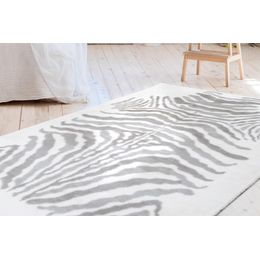 Hochflor-Teppich Calo-deluxe, B:120cm H:30mm L:160cm, grau, Kunstfaser, Teppiche, "Vogesen 400", weiche Haptik, Wohnzimmer