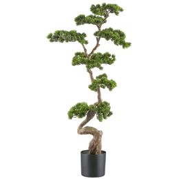Kunstbonsai Creativ green "Bonsai Kiefer", gr&uuml;n, B:50cm H:125cm, Kunststoff, Kunstpflanzen, Kunstbonsai, mit elegantem Stamm
