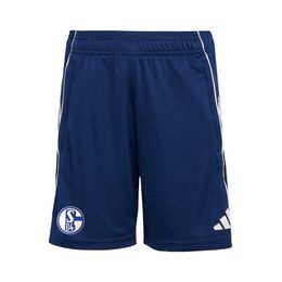 adidas Performance Sporthose 'FC Schalke 04' Jungen Gr&ouml;&szlig;e 152 blau / wei&szlig;
