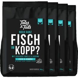 Tales & Tails Softes Trockenfutter Noch ganz Fisch im Kopp? 4x4 kg