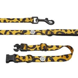 Barkalot Hundehalsband-Auslaufset orange/ schwarz S