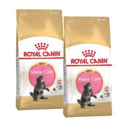Royal Canin Maine Coon Kitten 2x10 kg