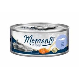 MOMENTS Adult Lachs 24x70 g