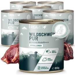 REAVET Hunde Nassfutter - Wildschwein PUR 6x800 g
