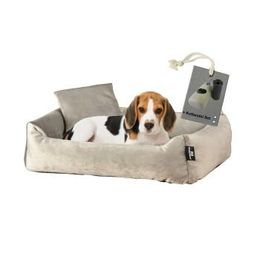Rohrschneider &reg; Hundebett inkl. Gratis-Beigabe, Kuschelsofa taupe M