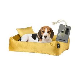 Rohrschneider &reg; Hundebett inkl. Gratis-Beigabe, Kuschelsofa gelb M