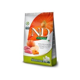 N&D Farmina Pumpkin Medium/Maxi Adult Wildschwein 12 kg