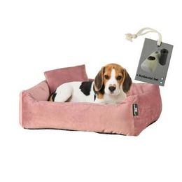 Rohrschneider &reg; Hundebett inkl. Gratis-Beigabe, Kuschelsofa altrosa M