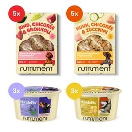 Nutriment Frischemen&uuml; Rind & Huhn 10x400g mit Hundeeis 6x90ml