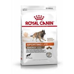 Royal Canin ENERGY 4300 (TRAIL) 15 kg