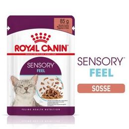 Royal Canin Sensory Feel in So&szlig;e f&uuml;r w&auml;hlerische Katzen 48x85 g