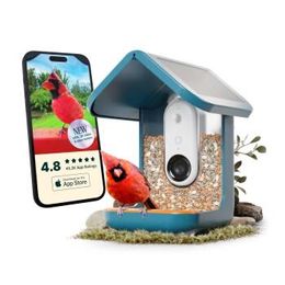 Birdbuddy BIRD BUDDY 2.0 - Vogelhaus mit Solardach (blau)