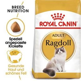 Royal Canin Ragdoll Adult 10 kg