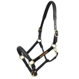 Hans Melzer Horse Equipment Hans Melzer Halfter H&uuml;nxe schwarz/messing WB (Warmblut)
