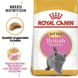 Royal Canin British Shorthair Kitten 2 kg