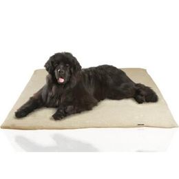 Rohrschneider &reg; weiches Hundebett mit waschbarem Bezug aus Cord XXL