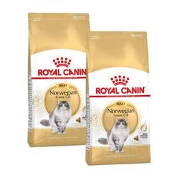 Royal Canin Norwegian Forest Adult 2x10 kg