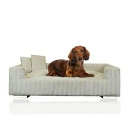 Rohrschneider &reg; Hundesofa, Hundebett Cord f&uuml;r mittelgro&szlig;e und gro&szlig;e Hunde, inkl. 2 Dekokissen beige
