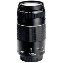 Canon EF 75-300mm 1:4-5,6 III