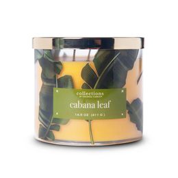 Colonial Candle Duftkerze "Tropic Cabana Leaf" in Gelb/ Gr&uuml;n - 411 g - 41% | Kerzen-vasen