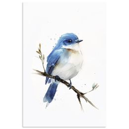 Artland Wandbild &raquo;Aquarell Bergh&uuml;ttens&auml;nger&laquo; Vogelbilder 1 Stk. tlg. als Alubild, Leinwandbild, Poster, Wandaufkleber in verschied. Gr&ouml;&szlig;en Alu Dibond