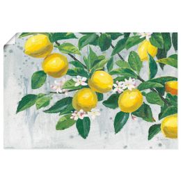 Artland Wandbild &raquo;Zesty Lemons&laquo; Baumbilder 1 Stk. tlg. als Alubild, Leinwandbild, Poster, Wandaufkleber in verschied. Gr&ouml;&szlig;en Papier