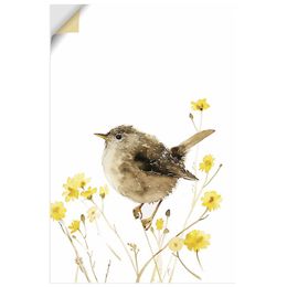 Artland Wandbild &raquo;Aquarell Zaunk&ouml;nig&laquo; Vogelbilder 1 Stk. tlg. als Alubild, Leinwandbild, Poster, Wandaufkleber in verschied. Gr&ouml;&szlig;en Vinyl
