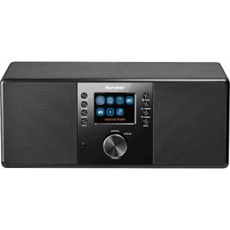K&auml;rcher Internet-Radio &raquo;DAB 7000i&laquo; (Bluetooth WLAN Digitalradio (DAB+) FM-Tuner mit RDS Internetradio UKW mit RDS 14 W) FM-Tuner mit RDS, Internetradio, DAB+,