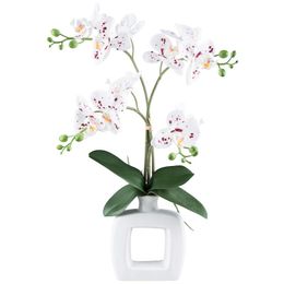 Creativ green Kunstorchidee &raquo;Orchidee Phalaenopsis&laquo; in trendigem Keramikgef&auml;&szlig; wei&szlig; Kunststoff