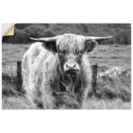 Artland Wandbild &raquo;Happy Highland&laquo; Wildtiere 1 Stk. tlg. als Alubild, Leinwandbild, Poster, Wandaufkleber in verschied. Gr&ouml;&szlig;en Vinyl