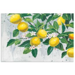 Artland Wandbild &raquo;Zesty Lemons&laquo; Baumbilder 1 Stk. tlg. als Alubild, Leinwandbild, Poster, Wandaufkleber in verschied. Gr&ouml;&szlig;en Alu Dibond