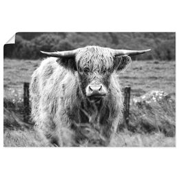 Artland Wandbild &raquo;Happy Highland&laquo; Wildtiere 1 Stk. tlg. als Alubild, Leinwandbild, Poster, Wandaufkleber in verschied. Gr&ouml;&szlig;en Papier