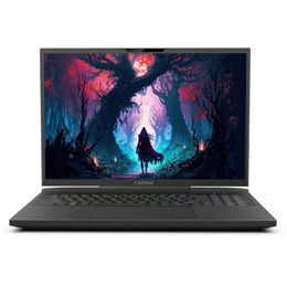 Captiva Gaming-Notebook &raquo;Ultimate Gaming I81-608&laquo; Intel Core i9 GeForce RTX 4090 2.000 GB SSD schwarz Windows 11 Home 64-bit