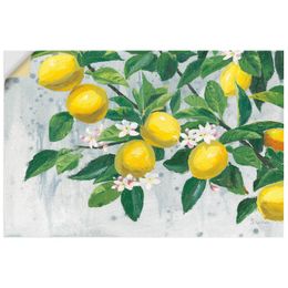Artland Wandbild &raquo;Zesty Lemons&laquo; Baumbilder 1 Stk. tlg. als Alubild, Leinwandbild, Poster, Wandaufkleber in verschied. Gr&ouml;&szlig;en Vinyl