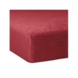 Traumschlaf Spannbettlaken Flausch Biber Boxspring in burgund | Gr.: 90x190 cm - 100x200 cm