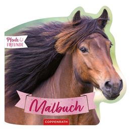 Coppenrath Malbuch mit Formstanzung Pferdefreunde