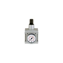 Riegler Druckregler &raquo;multifix&laquo;, inkl. Manometer, BG 5, G 1, 0,1 - 3 bar (R 55 - 3)