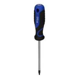 Brilliant Tools Schraubendreher TX, T15 (BT034906)
