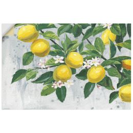 Wandbild Artland, B:70cm H:50cmfarbe bild(er): naturfarben, Vinyl, Wohnzimmer, Bilder, "Zesty Lemons", als Alubild, Leinwandbild, Poster,