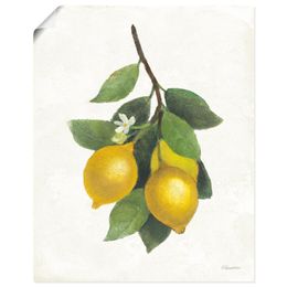 Wandbild Artland, B:30cm H:40cmfarbe bild(er): naturfarben, Papier, Wohnzimmer, Bilder, "Lemon Branch III", als Alubild, Leinwandbild, Poster,