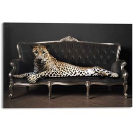 Wandbild Reinders "Wandbild Leopard Chic Panther - Liegend - Luxus - Relax", schwarz (farbe bild(er): schwarz), B:90cm H:60cm, MDF, Bilder