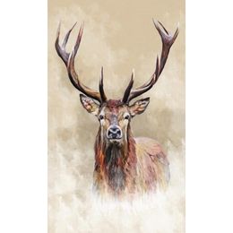 Wandbild Reinders, B:70cm H:118cm, braun, Hartfaserplatte, MDF, Wohnzimmer, Bilder, "Hirsch"